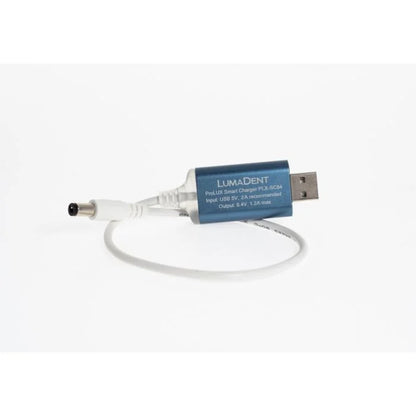 USB ProLux Smart Charger: Reliable Power for Devices – LumaDent
