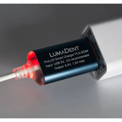 USB ProLux Smart Charger: Reliable Power for Devices – LumaDent
